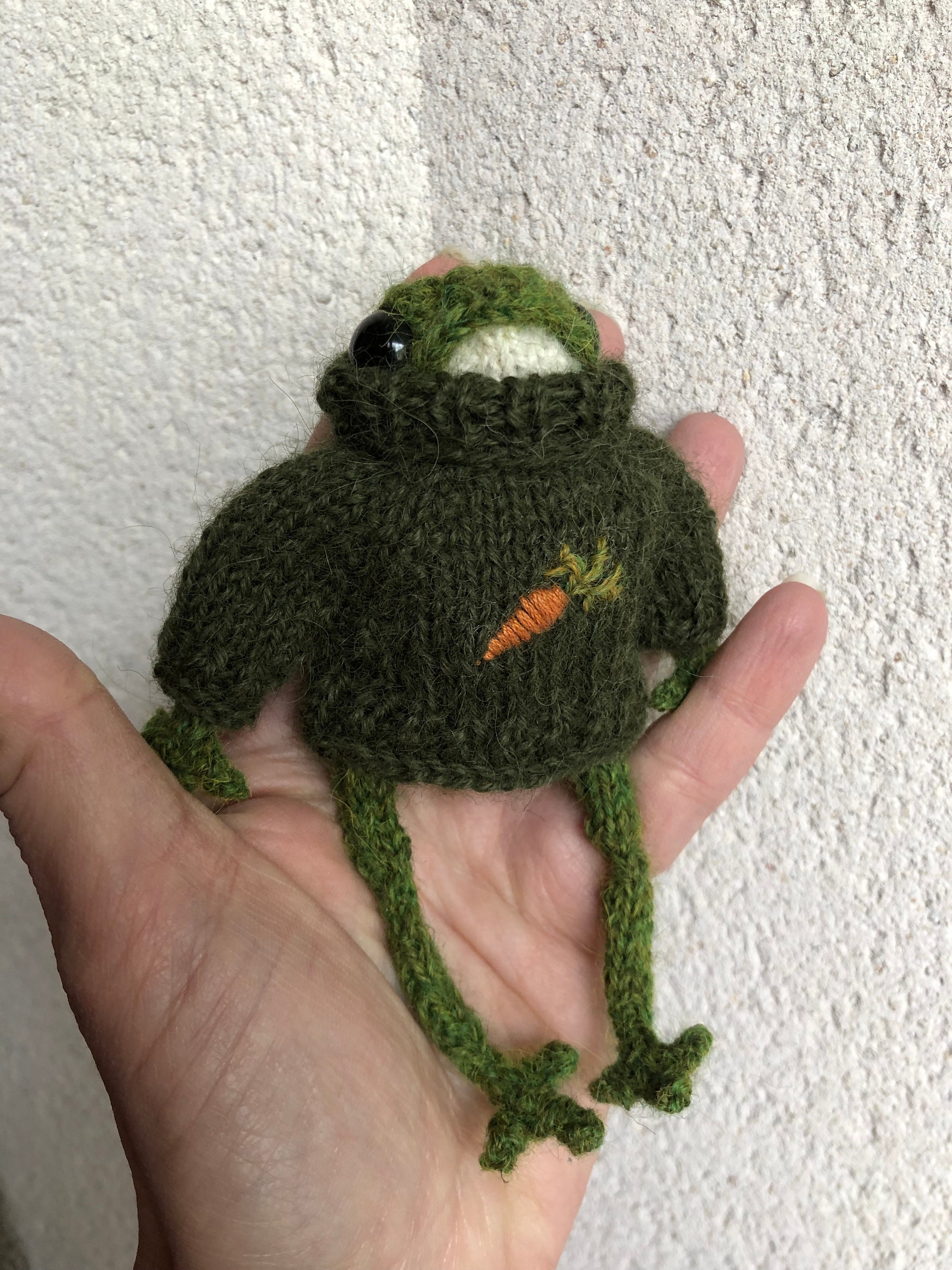 Spring Knitted Frog in a Sweater With Embroidered Carrot - Etsy