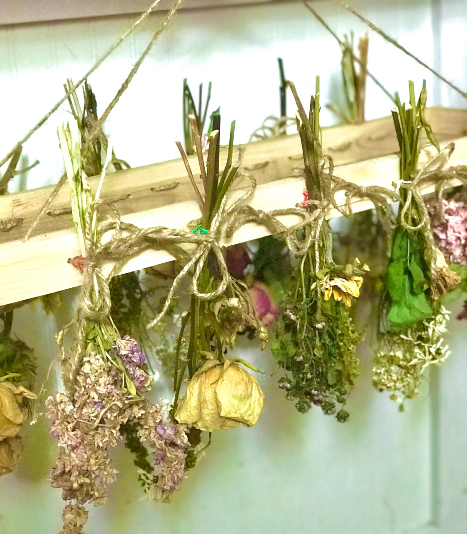24” Dried Herb Kitchen Garden Ceiling Hanger Frame Chili Pepper Garlic ...