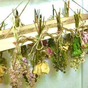 24 Dried Herb Ceiling Hanger Frame Chili Pepper Garlic Orange Drying ...