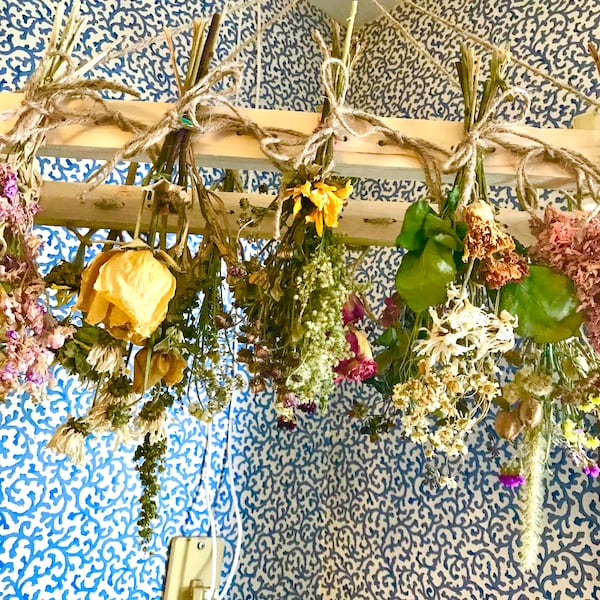 Ceiling Dried - Etsy