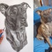 Pet Portrait Custom Black and White Realistic Drawing From Photo ...