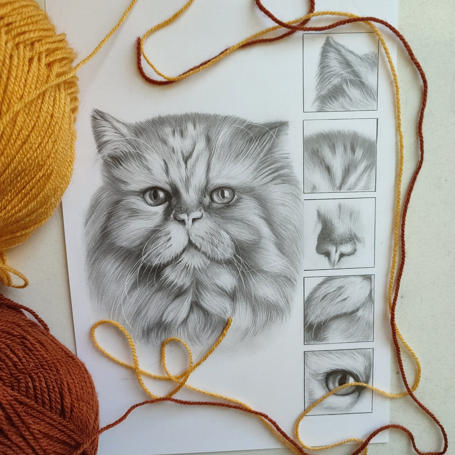 Custom Handmade Cat Portrait From Photo, Traditional Art Commission ...