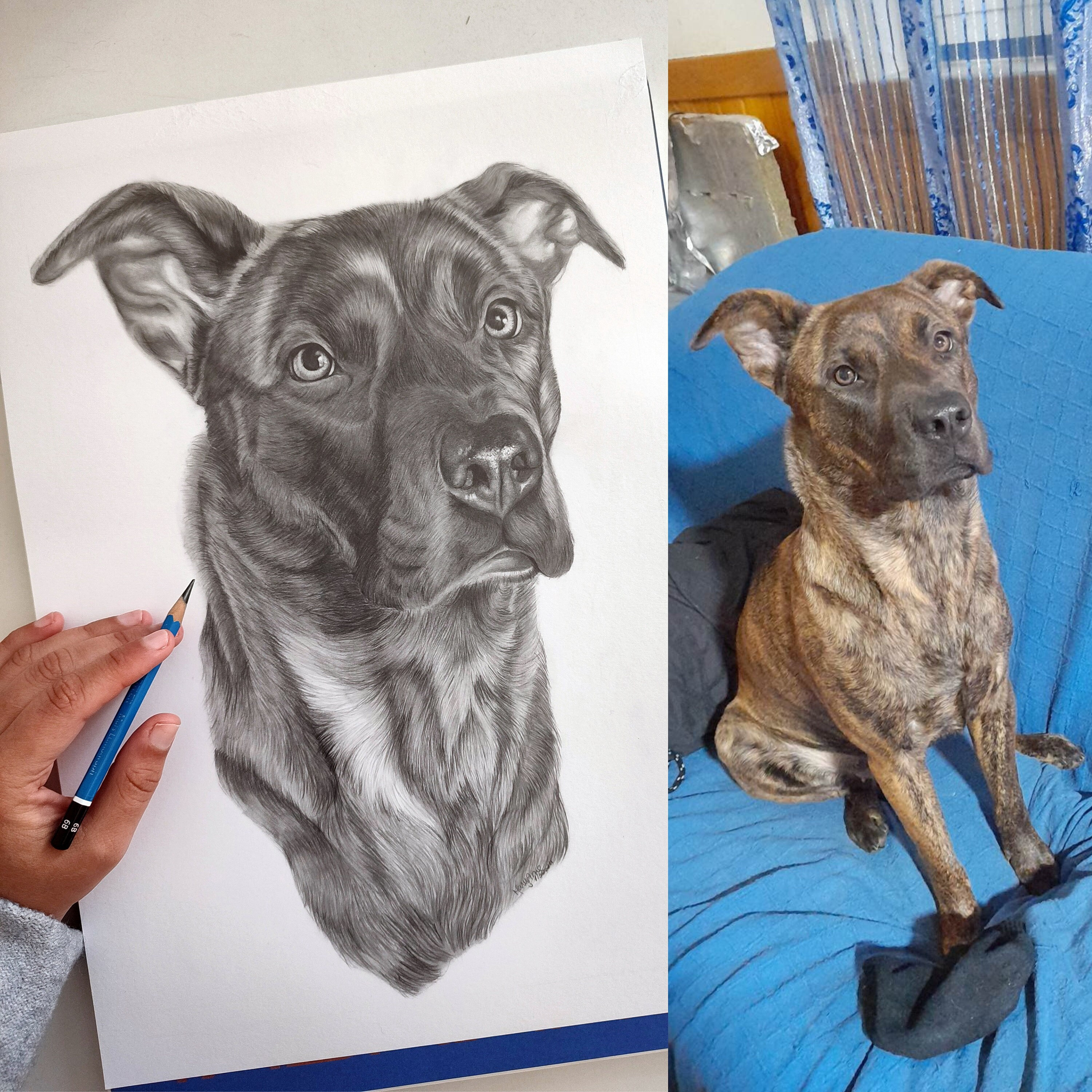 Pet Portrait Custom Black and White Realistic Drawing From Photo ...