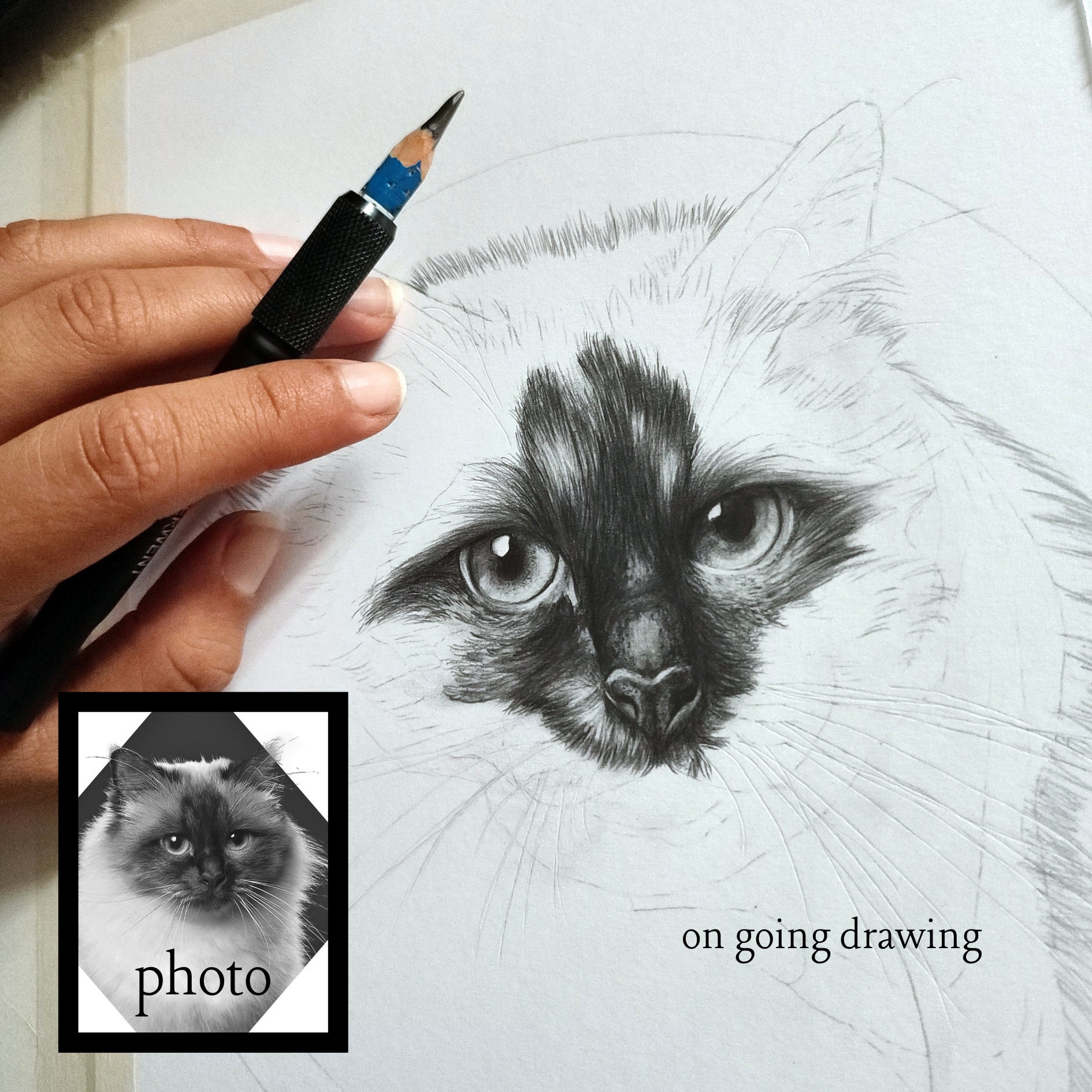 Custom Handmade Drawing Portrait of Pets, Cat and Dog Art Traditional ...