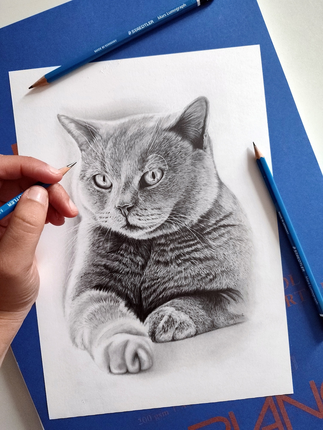 Custom Pet Realistic Portrait Cat Drawing From Photo Original ...