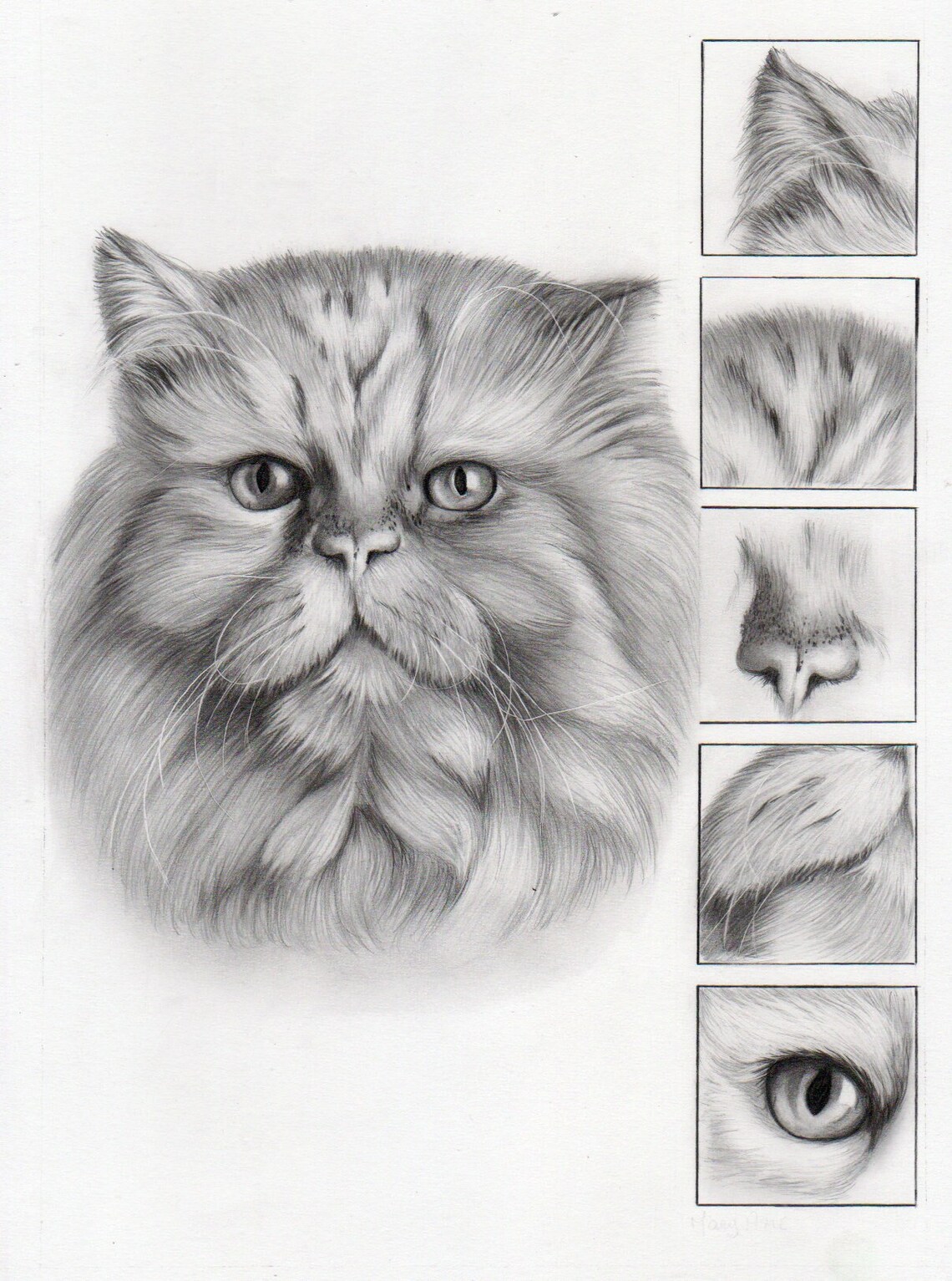 Handmade Graphite Pet Portrait: Realistic Cat Pencil Drawing - Etsy