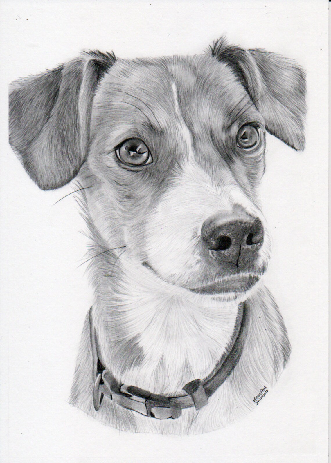 Pet Portrait Custom Black and White Realistic Drawing From Photo ...