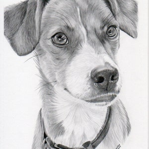 Pet Portrait Custom Black and White Realistic Drawing From Photo ...