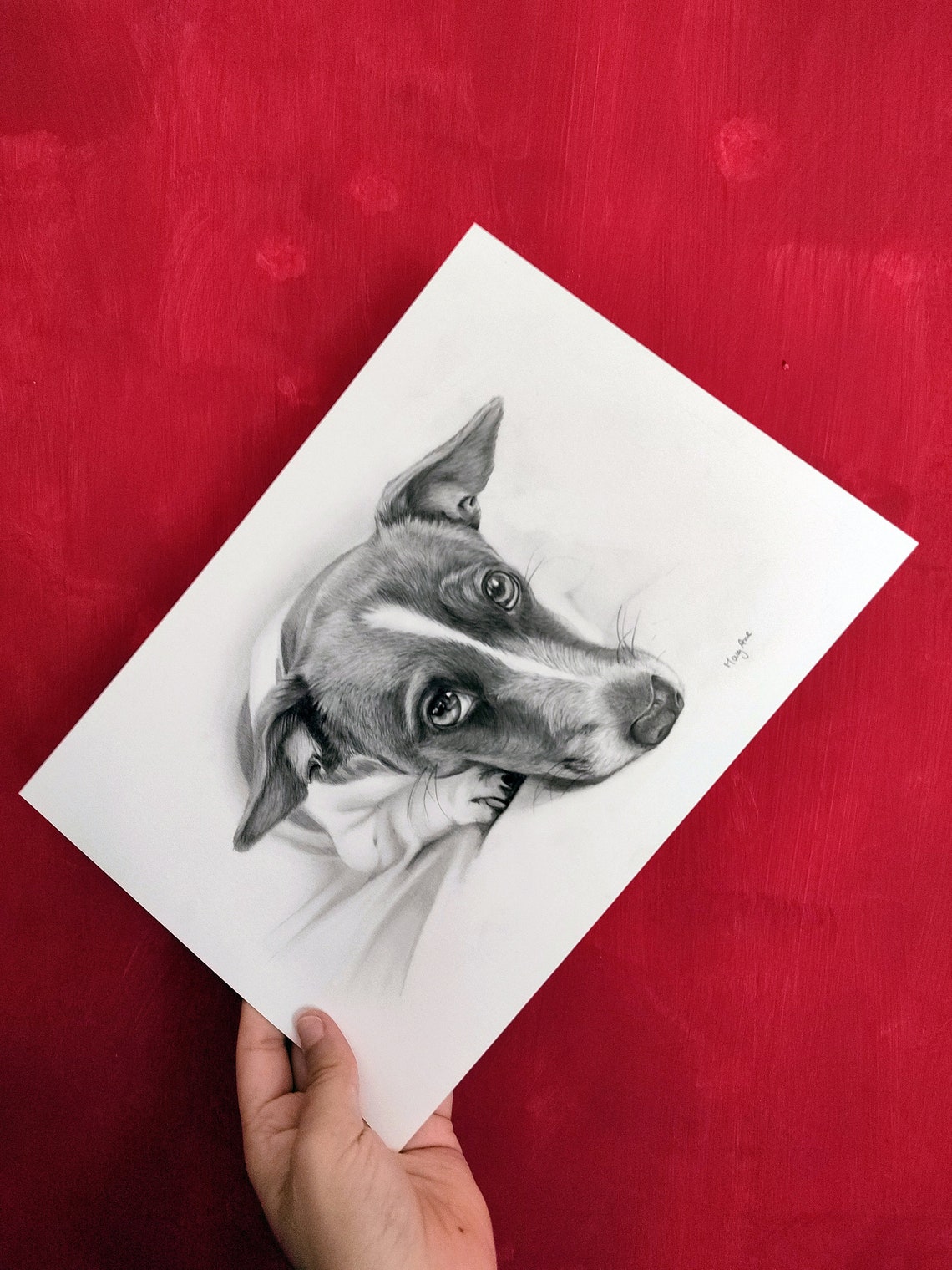 Pet Portrait Custom Black and White Realistic Drawing From Photo ...