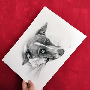 Pet Portrait Custom Black and White Realistic Drawing From Photo ...