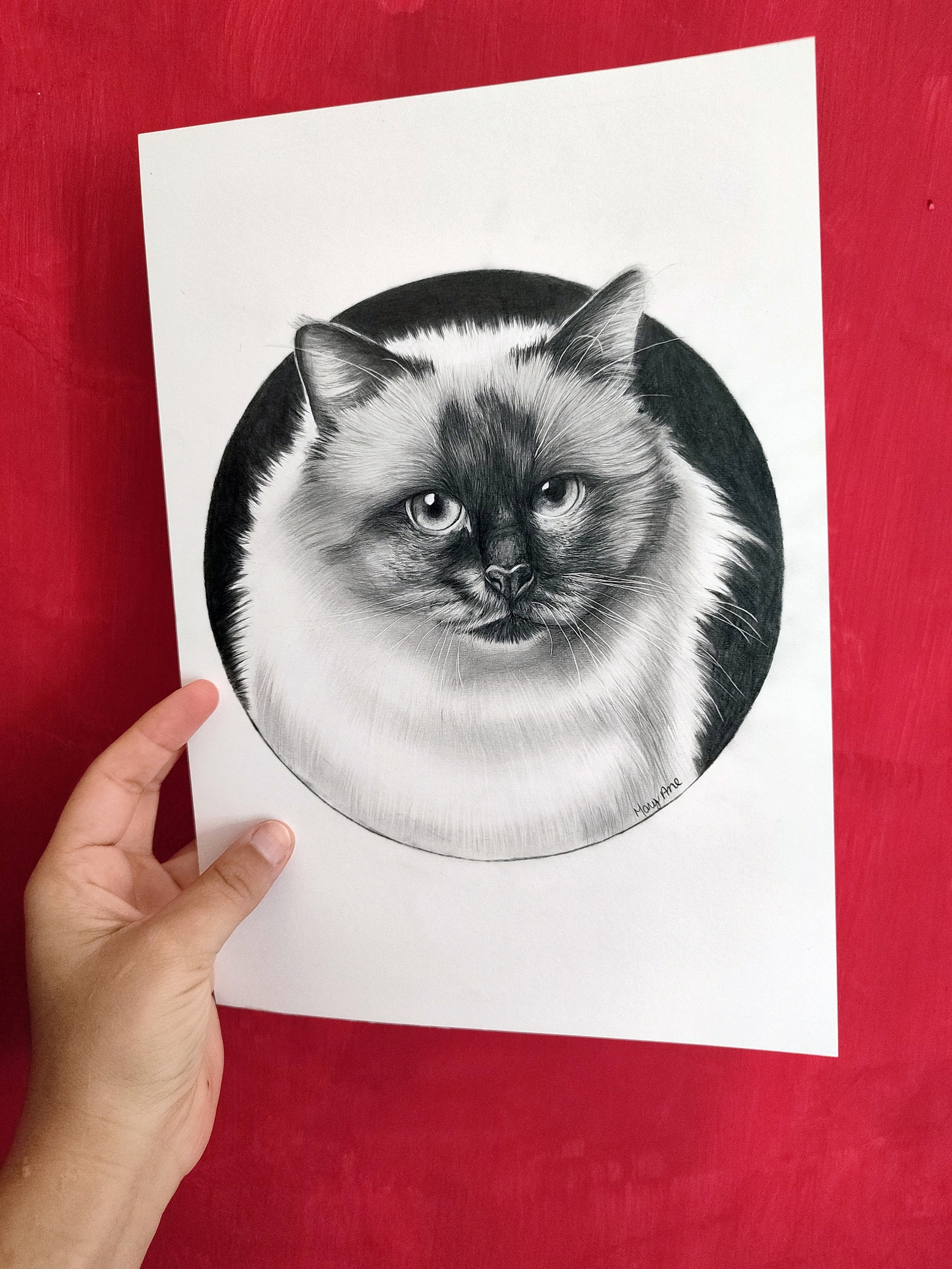 Custom Cat Portrait: Original Graphite Pencil Pet Drawing - Etsy
