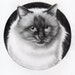 Handmade Graphite Pet Portrait: Realistic Cat Pencil Drawing - Etsy