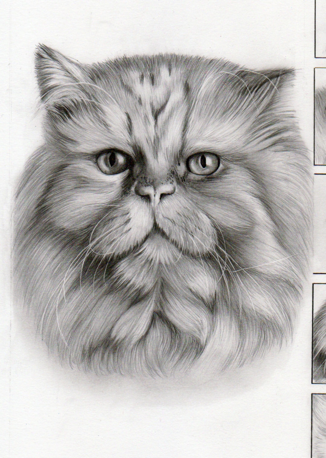 Custom Handmade Cat Portrait From Photo, Traditional Art Commission ...