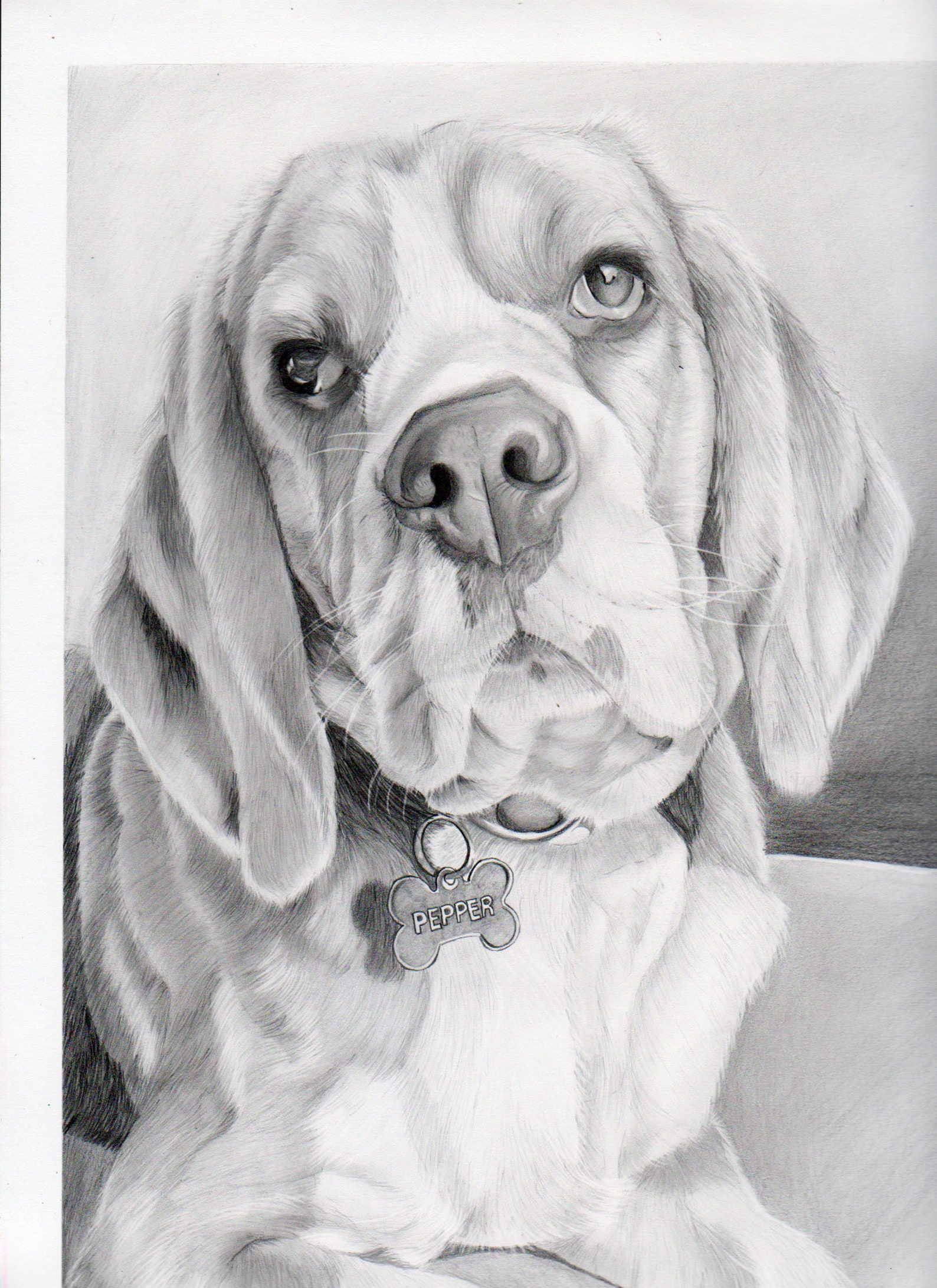 Pet Portrait Custom Black and White Realistic Drawing From Photo ...