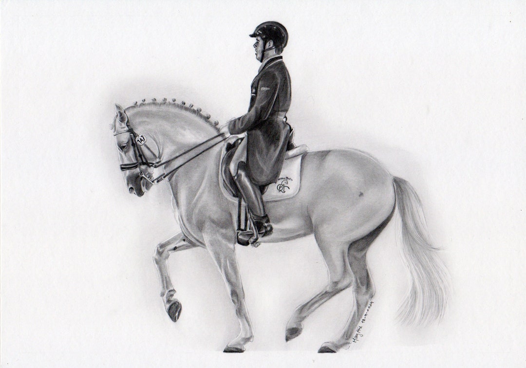Handmade Horse Drawing: Commissioned Equestrian Portraits in Graphite ...