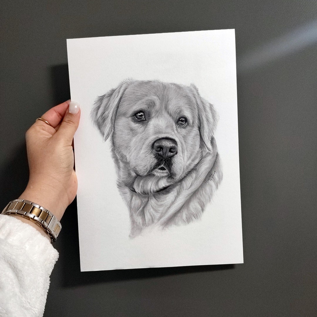 Custom Pet Portrait: Original Graphite Dog Drawing From Photo - Etsy