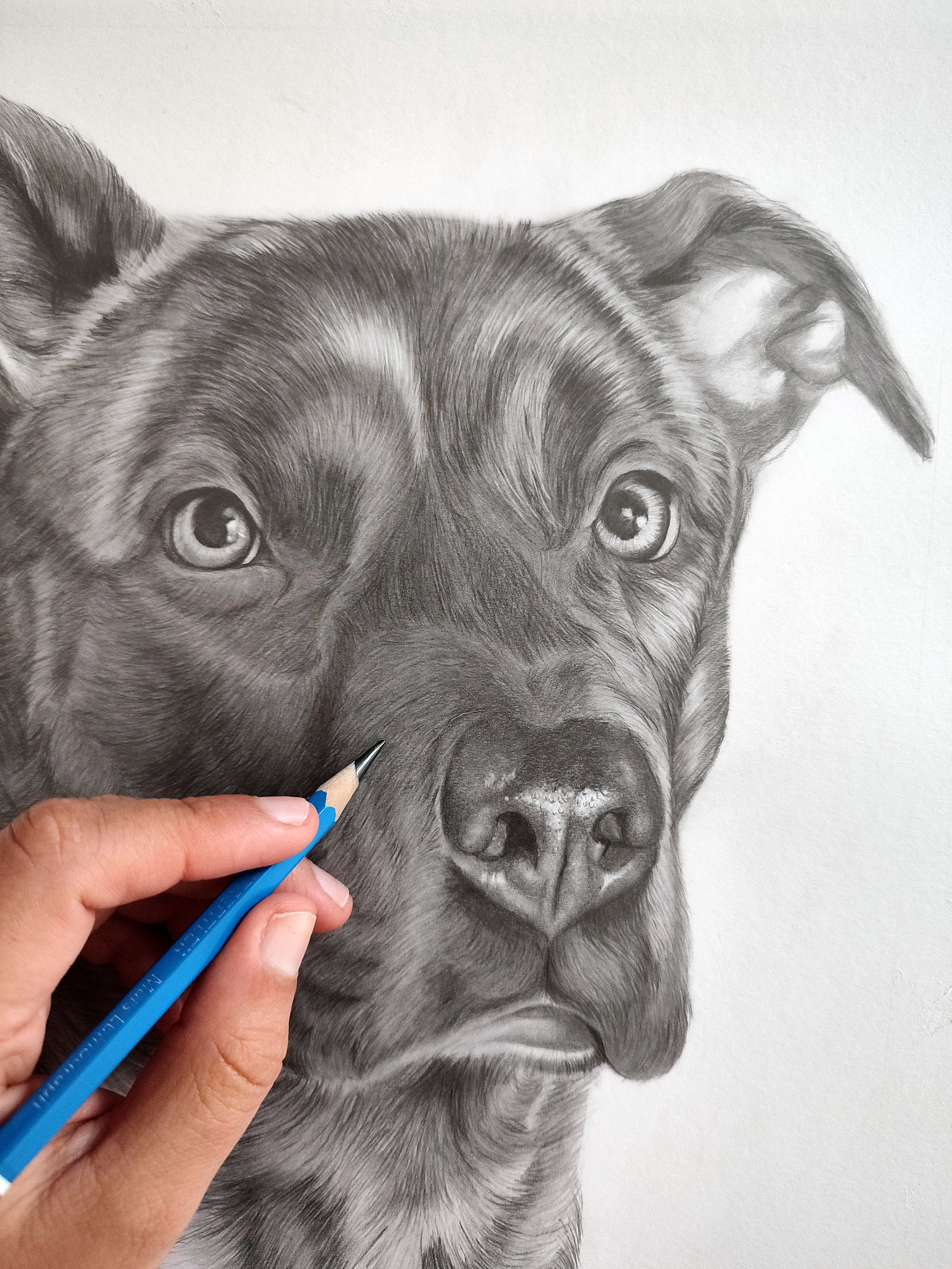 Pet Portrait Custom Black and White Realistic Drawing From Photo ...