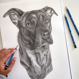 Pet Portrait Custom Black and White Realistic Drawing From Photo ...