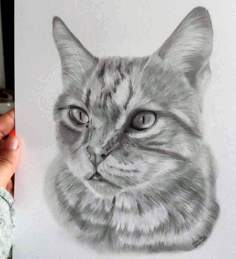 Handmade Pet Portrait, Black and White Pencil on Paper Drawing,persian ...