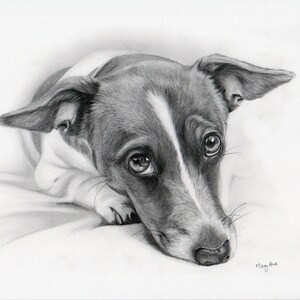 Pet Portrait Custom Black and White Realistic Drawing From Photo ...