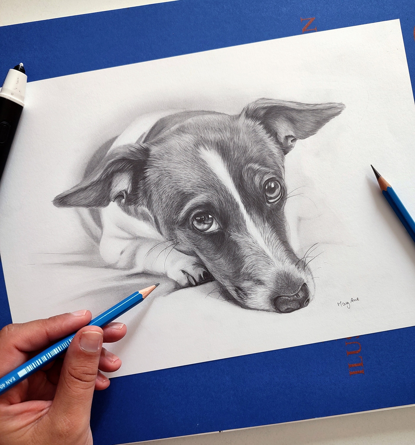 Pet Portrait Custom Black and White Realistic Drawing From Photo ...