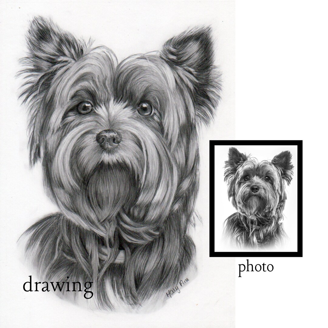 Custom Handmade Drawing Portrait of Pets, Cat and Dog Art Traditional ...