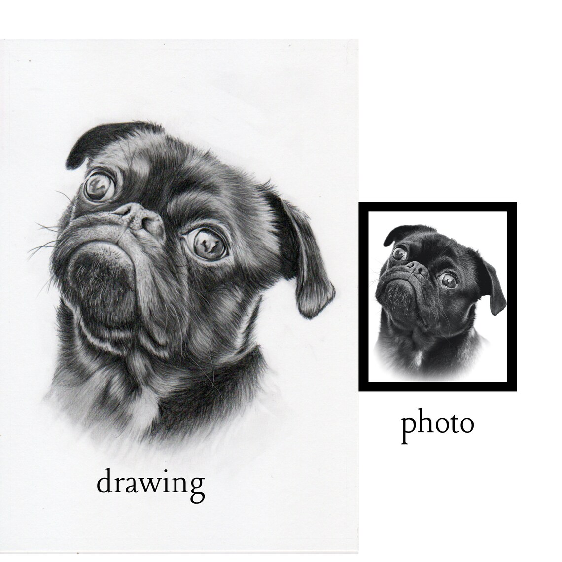 Custom Handmade Drawing Portrait of Pets, Cat and Dog Art Traditional ...