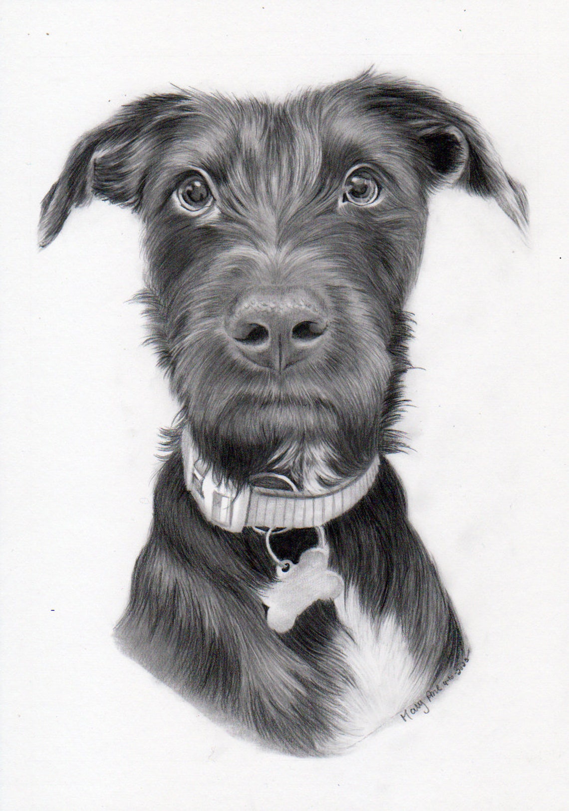 Pet Portrait Custom Black and White Realistic Drawing From Photo ...