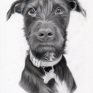 Pet Portrait Custom Black and White Realistic Drawing From Photo ...