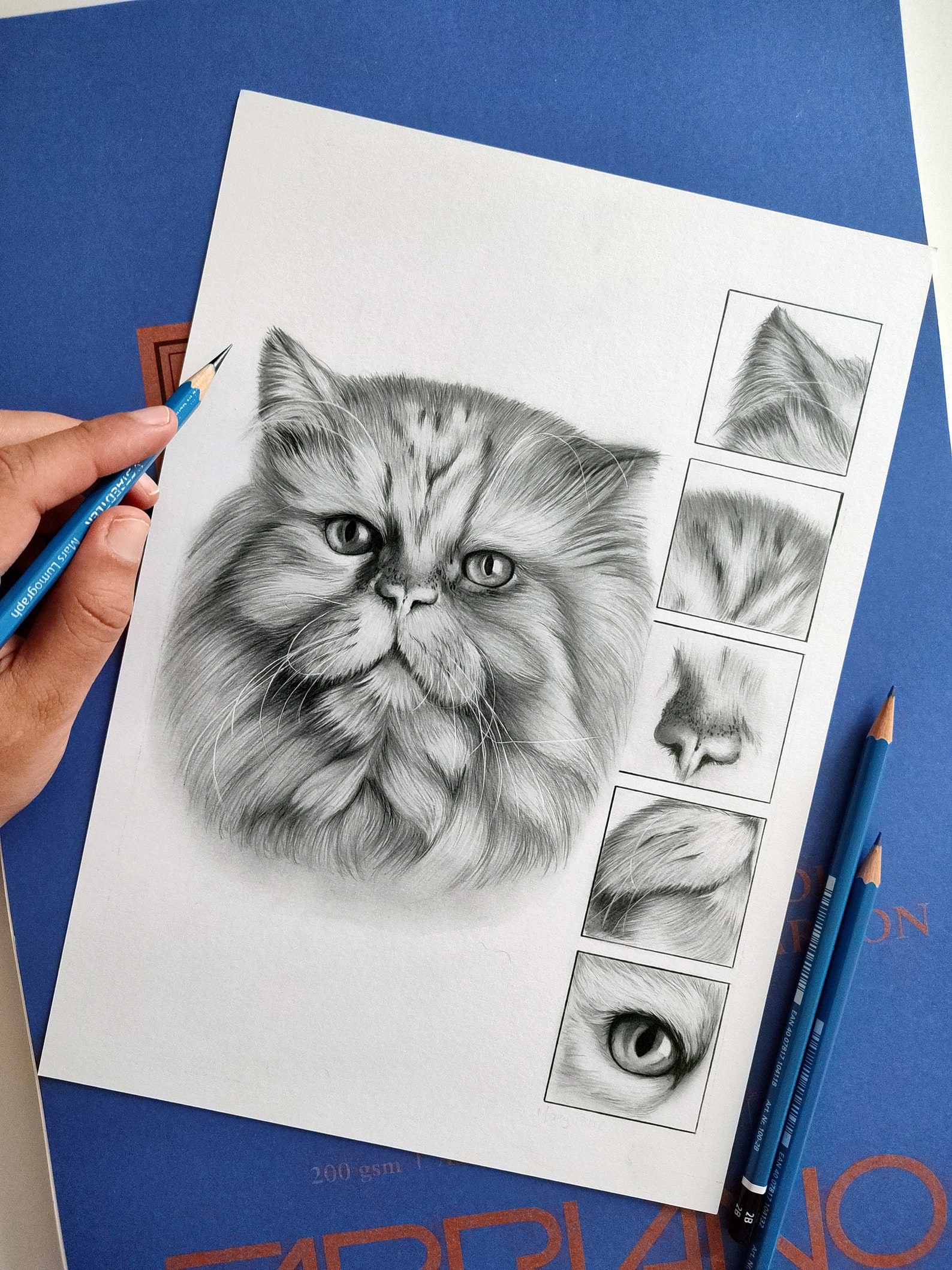 Handmade Pet Portrait, Black and White Pencil on Paper Drawing,persian ...