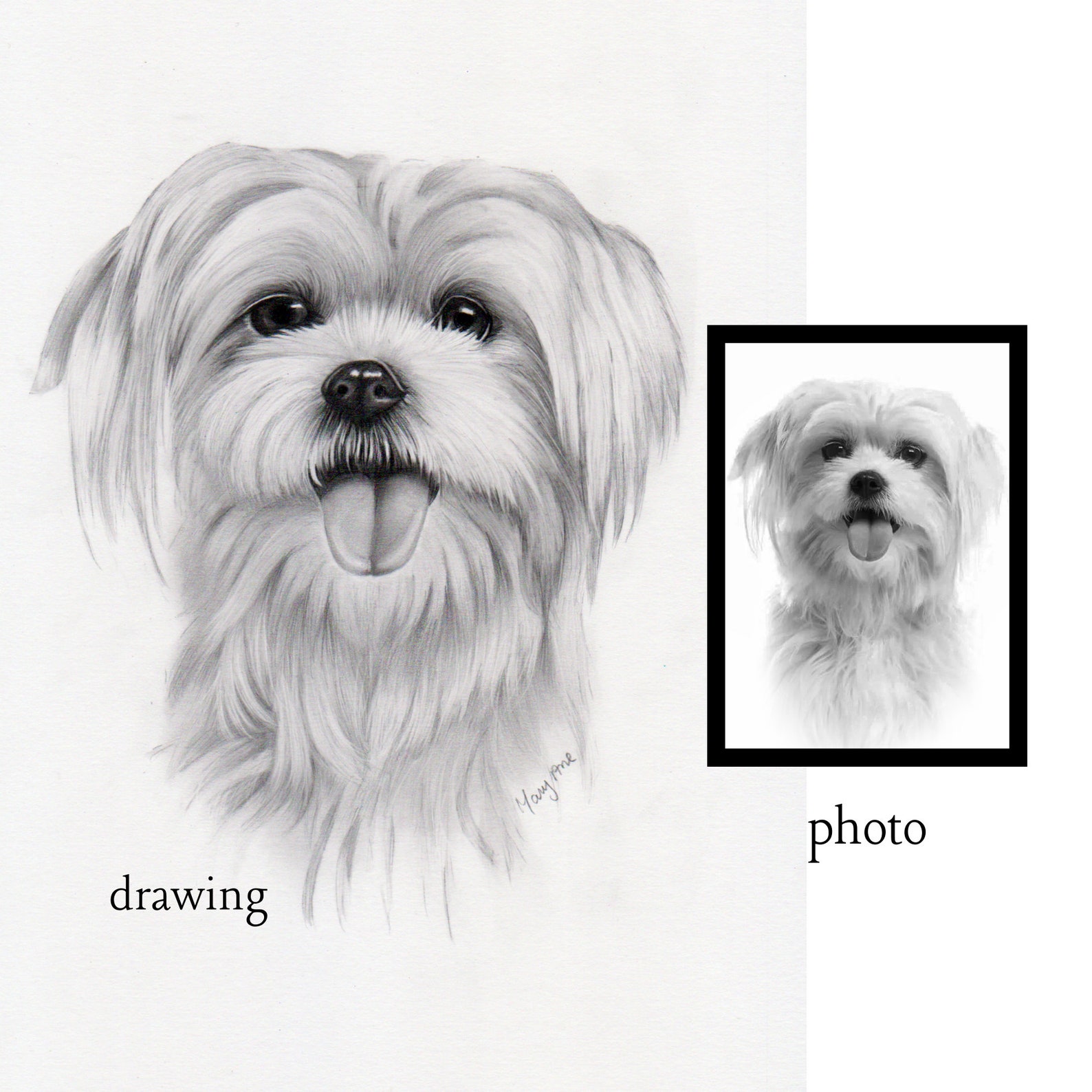 Custom Handmade Drawing Portrait of Pets, Cat and Dog Art Traditional ...