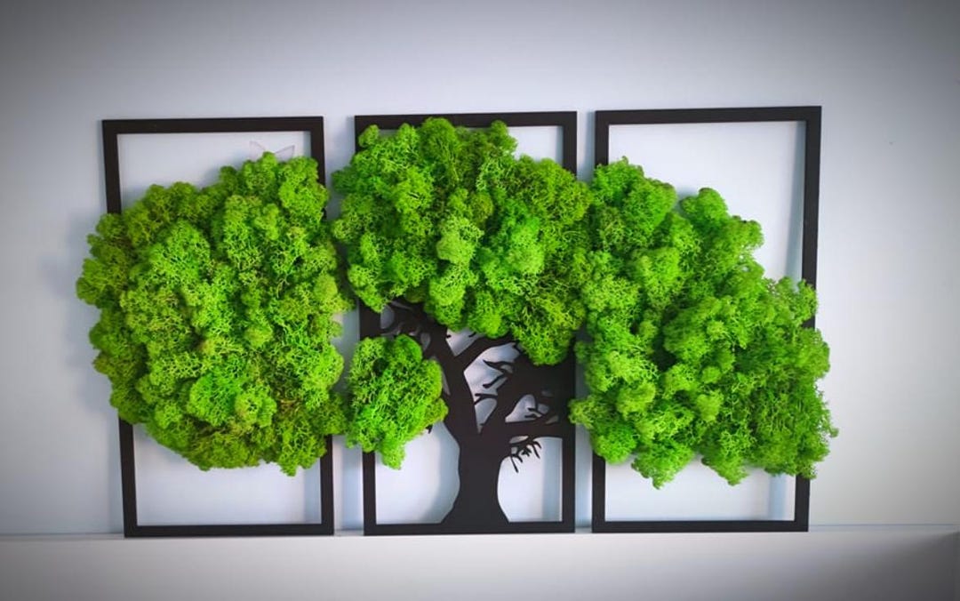 Moss Arrangement Tree Handmade Moss Wall Art Preserved Stabilized Moss ...