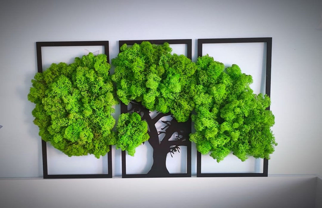 Premium natuurlijke mos kunst aan de muur Biofiele woondecoratie ...