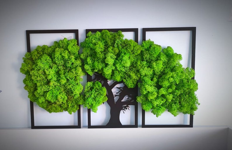 Premium natuurlijke mos kunst aan de muur | Biofiele woondecoratie ...