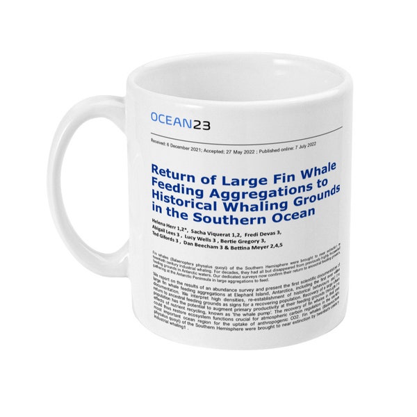 Research Mug - Etsy