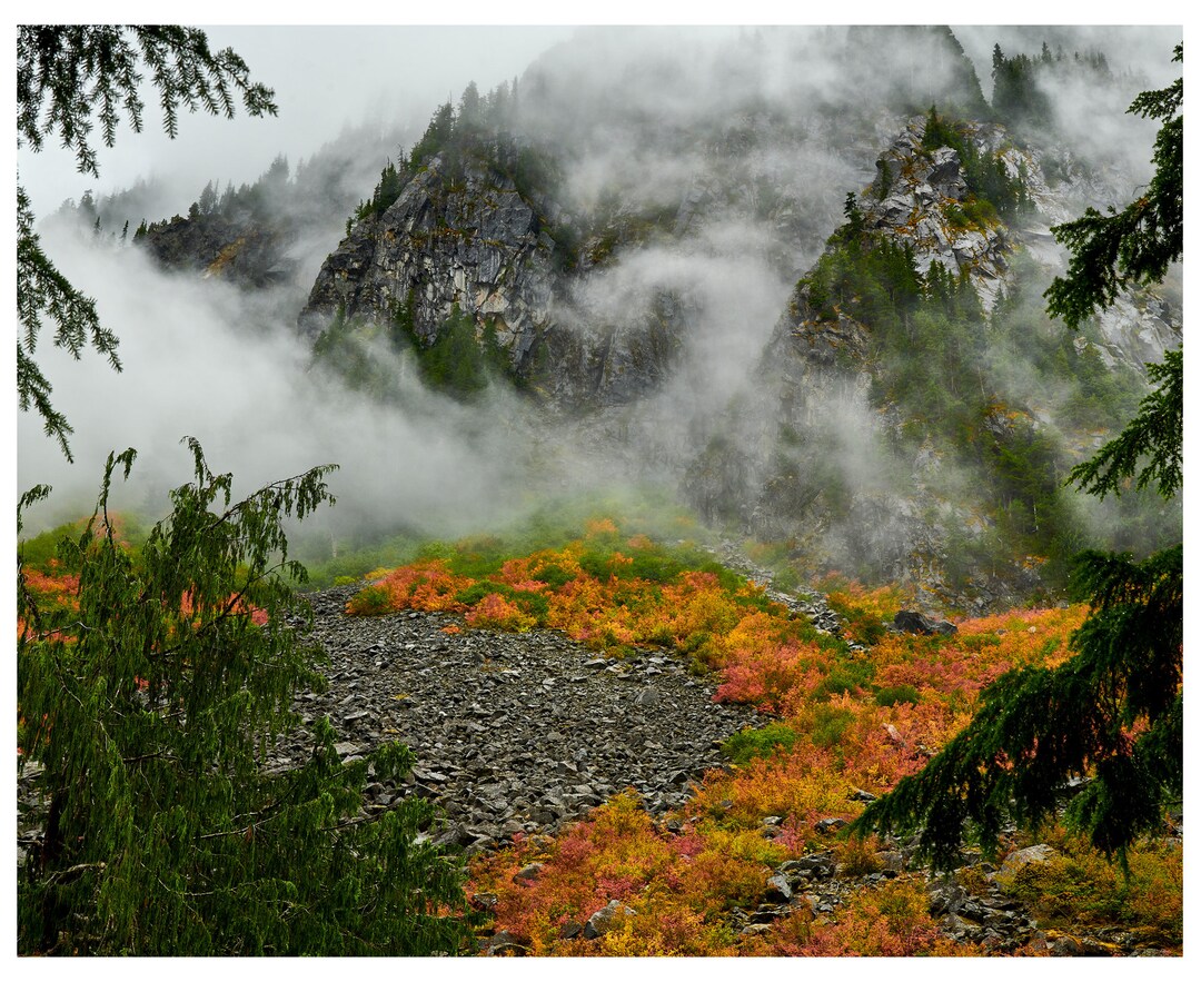 Mount Rainier National Park in Autumn, Pacific Northwest Wall Art ...