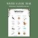 Winter Nature Trail Printable for Kids,winter Hiking Scavenger Hunt ...