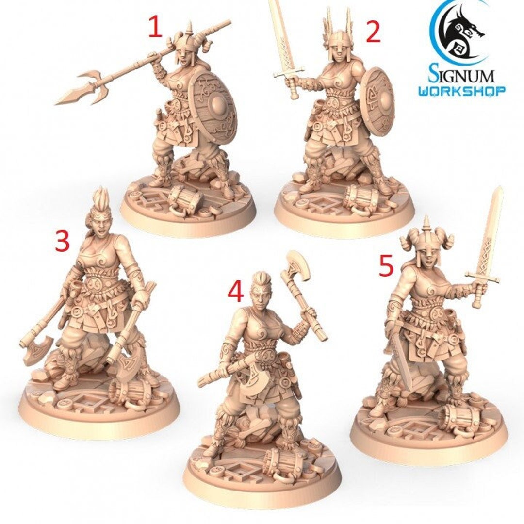 Skagard Shield Maidens (5 Models) | Signum Workshop | 8K Resolution 3D ...