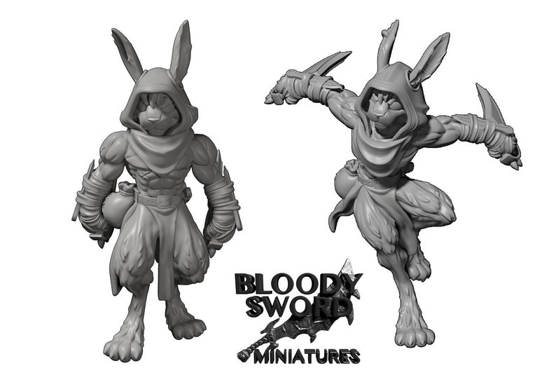Rabbitfolk/harengon Rogue (2 Poses) | Anime Dungeons | 8K Resolution 3D ...