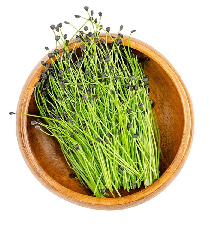 Organic Chive Microgreen Seed - Etsy UK