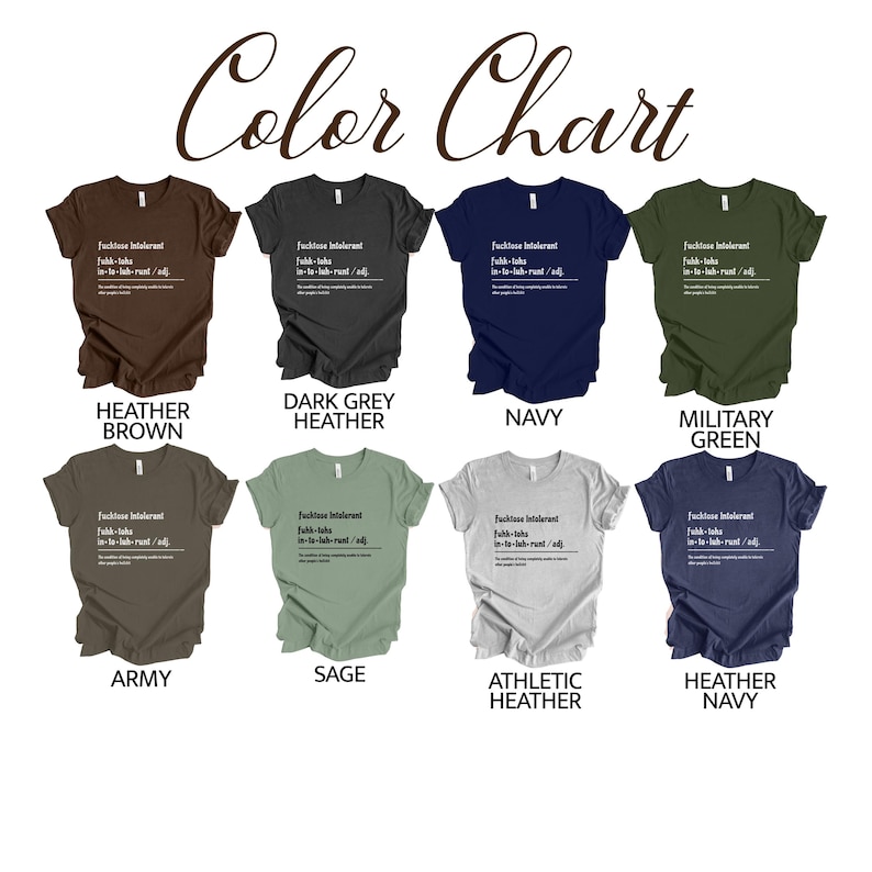 Funny Definition Meme Shirt, Inappropriate Shirt, Ironic T-shirt ...