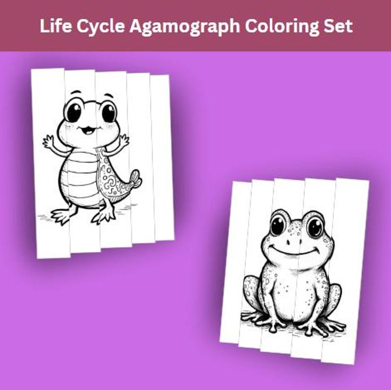 Life Cycle Agamograph Coloring Set, Agamograph Activity for Kids, Life ...