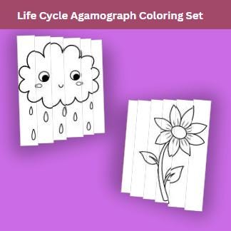 Life Cycle Agamograph Coloring Set, Agamograph Activity for Kids, Life ...