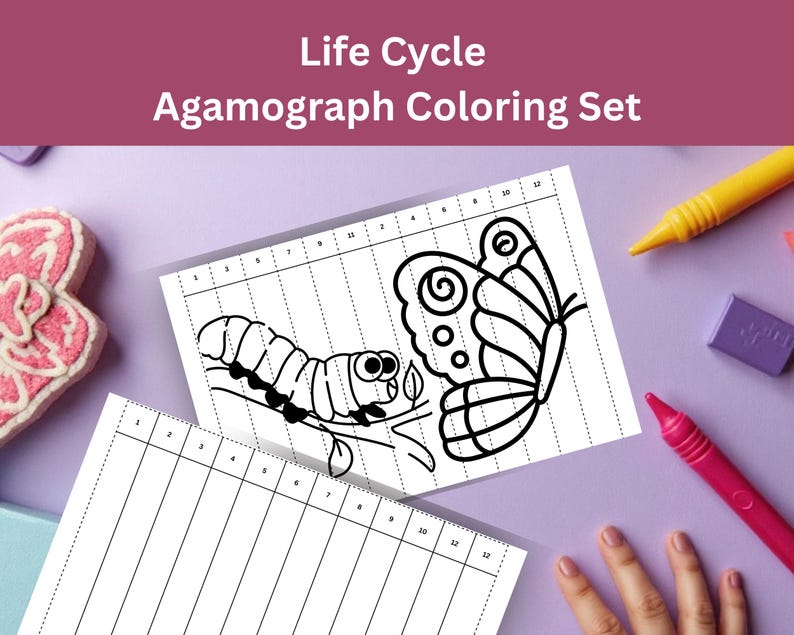 Life Cycle Agamograph Coloring Set, Agamograph Activity for Kids, Life ...