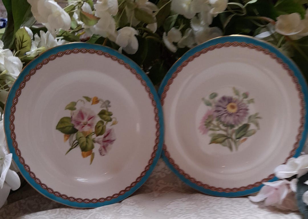 An Antique 2- Victorian Plates - Etsy