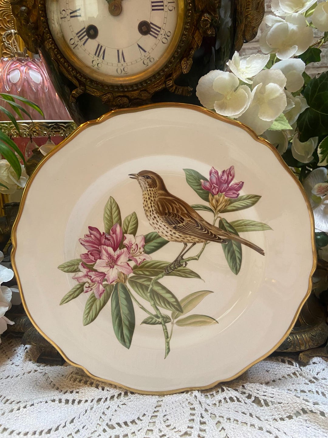 Spode British Bird Series Plate Mistle Thrush - Etsy