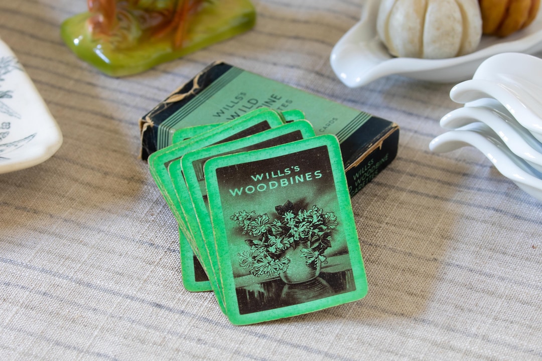 Win, Lose, or Draw- Vintage Playing Cards - Etsy