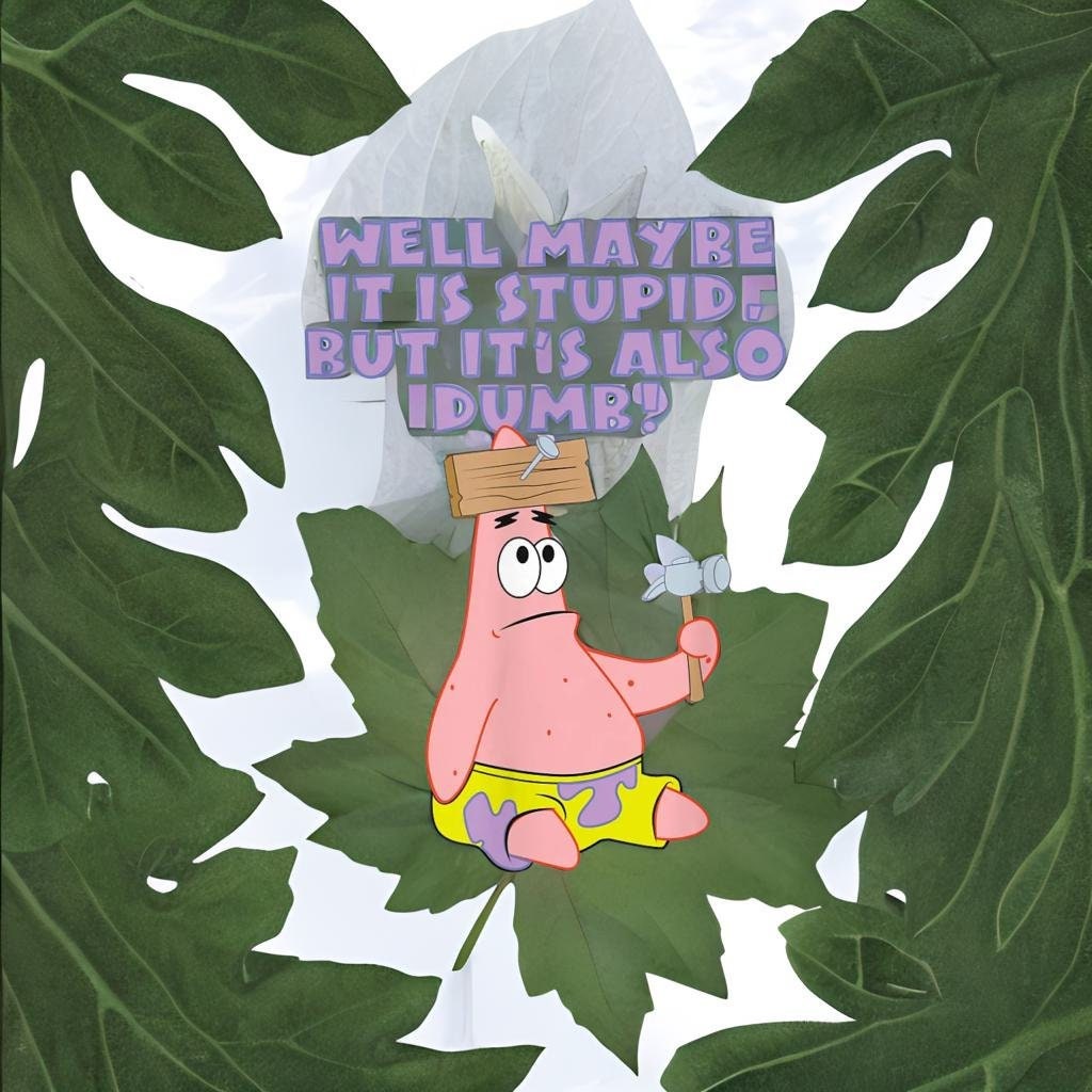 Patrick Star Stupid