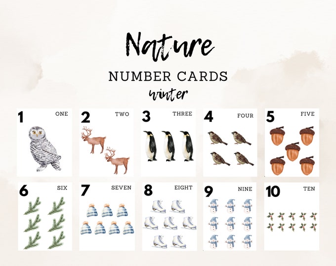 Nature Number Cards 1-20 | Charlotte Mason Pre K | Homeschool ...