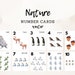 Nature Number Cards, Winter Nature, Numbers 1-20, Homeschool Printables ...